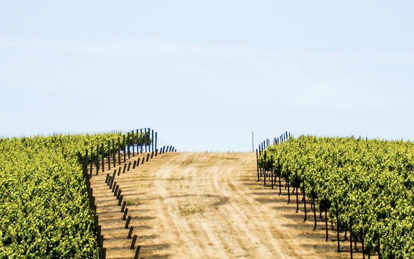 Sustainability Old - Valley Fruit and Produce