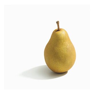 Taylor Gold - Valley Fruit and Produce