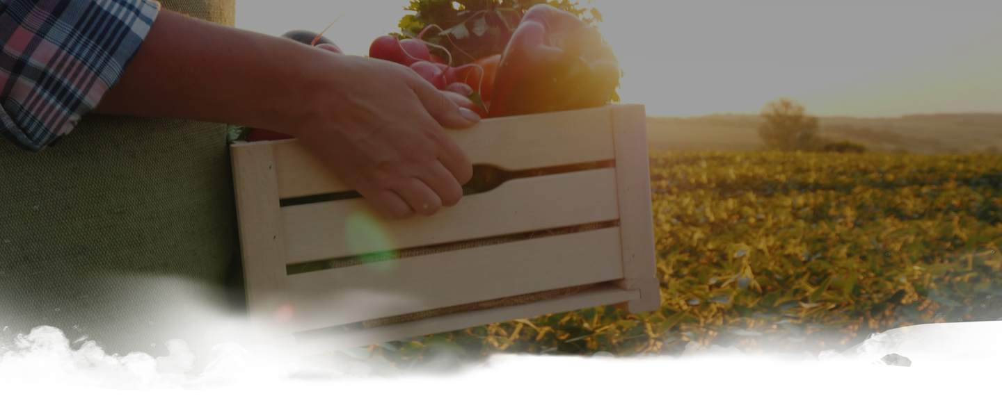 Contact - Valley Fruit and Produce