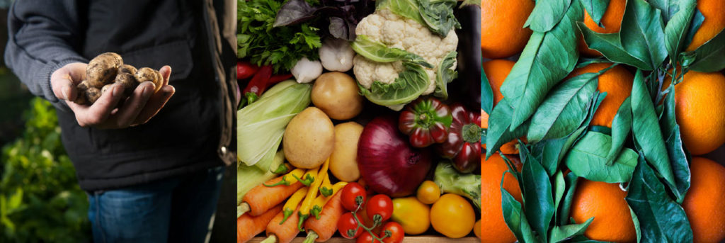 Contact - Valley Fruit and Produce