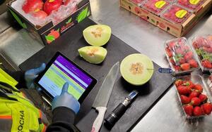 Services - Valley Fruit and Produce